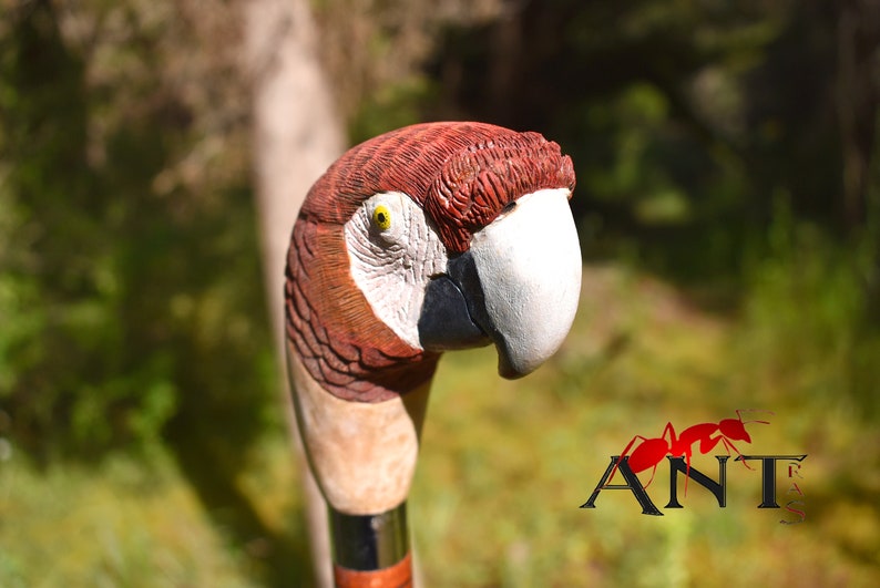 Custom Wood Walking Stickrealistic Scarlet Parrot Wood | Etsy