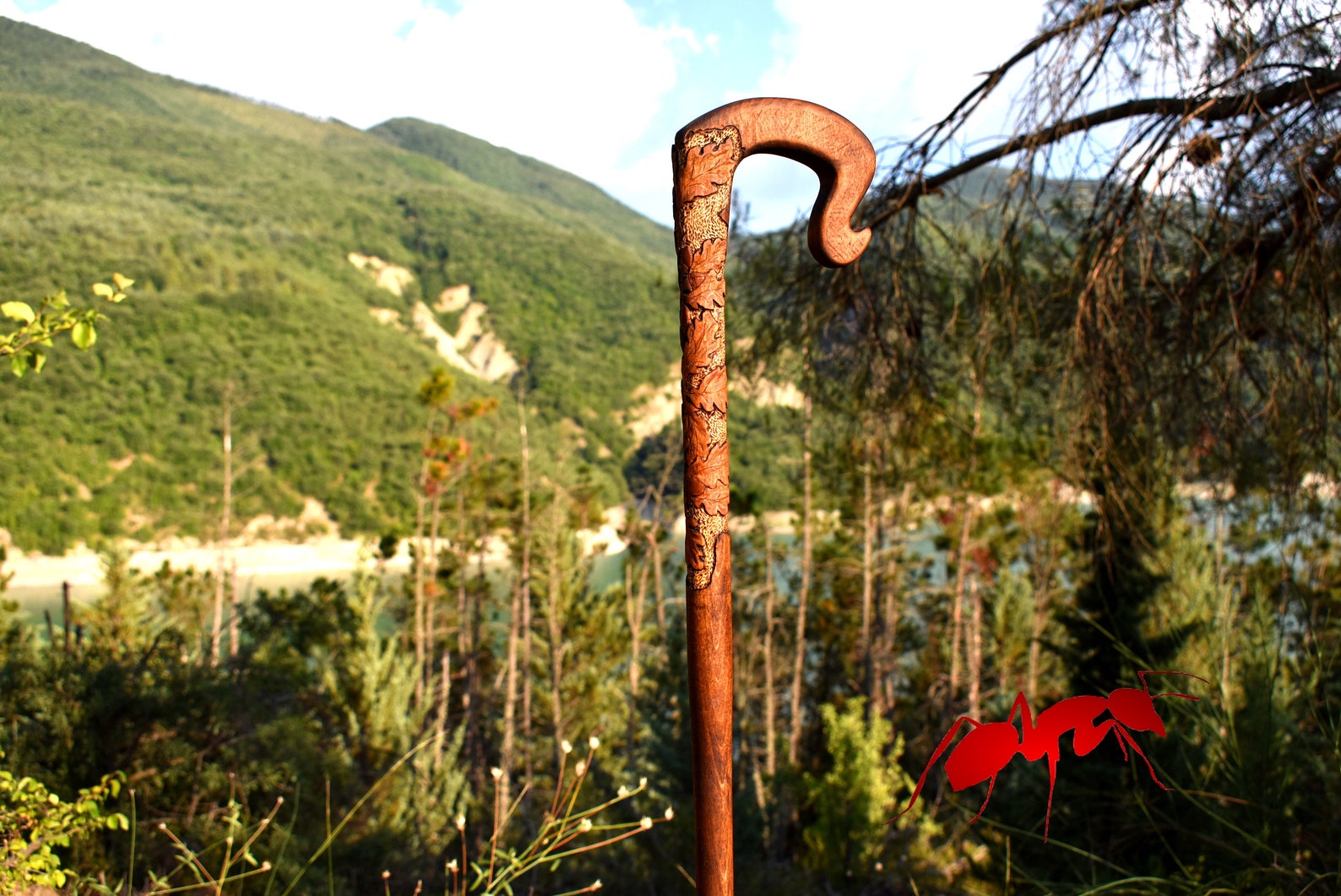 Custom Wood Walking Cane Shepherd Crook Handle With Oak - Etsy