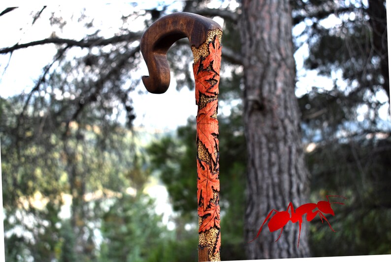 Custom wood walking caneShepherd Crook handle with maple | Etsy