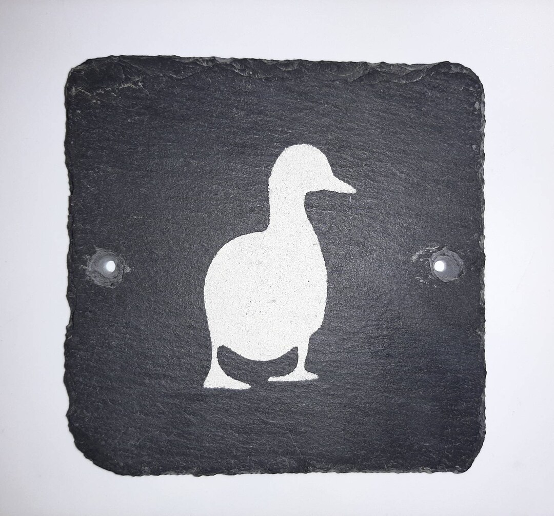 Duck Sign, Mind Your Head Warning Sign. - Etsy UK
