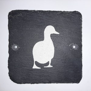 Duck Sign, Mind Your Head Warning Sign. - Etsy UK
