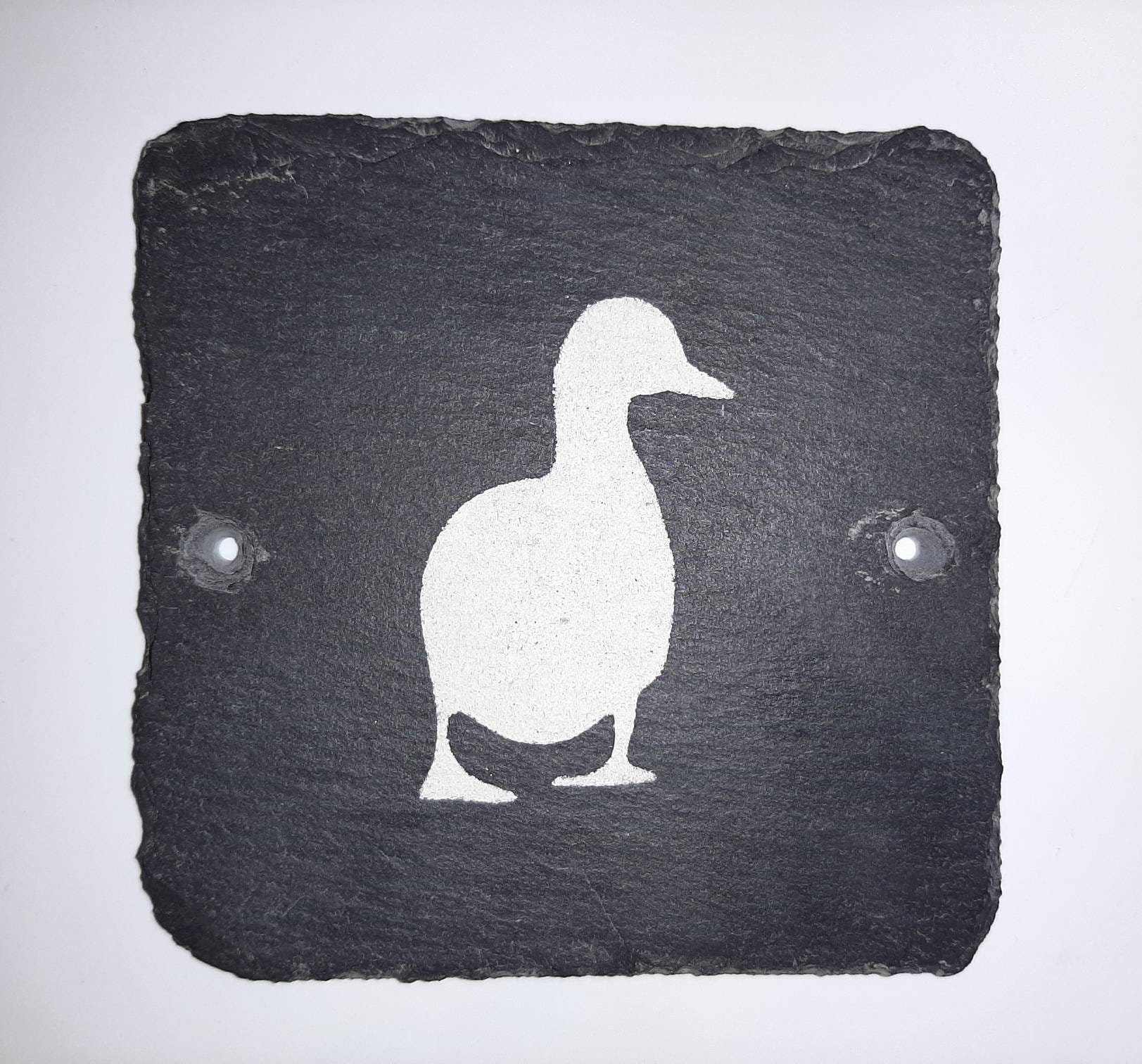 Mind Your Head Duck