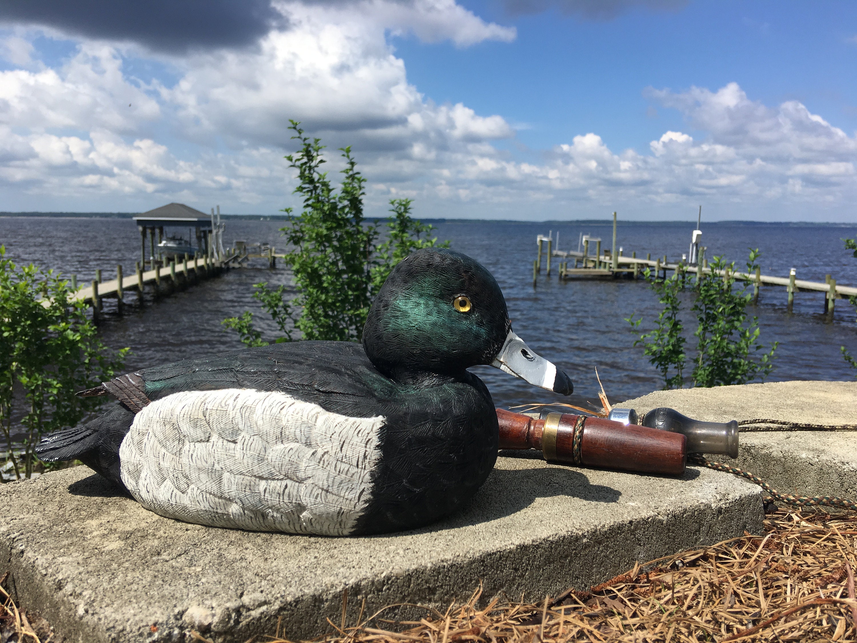 Hand-carved Ring Neck Drake Duck - Etsy