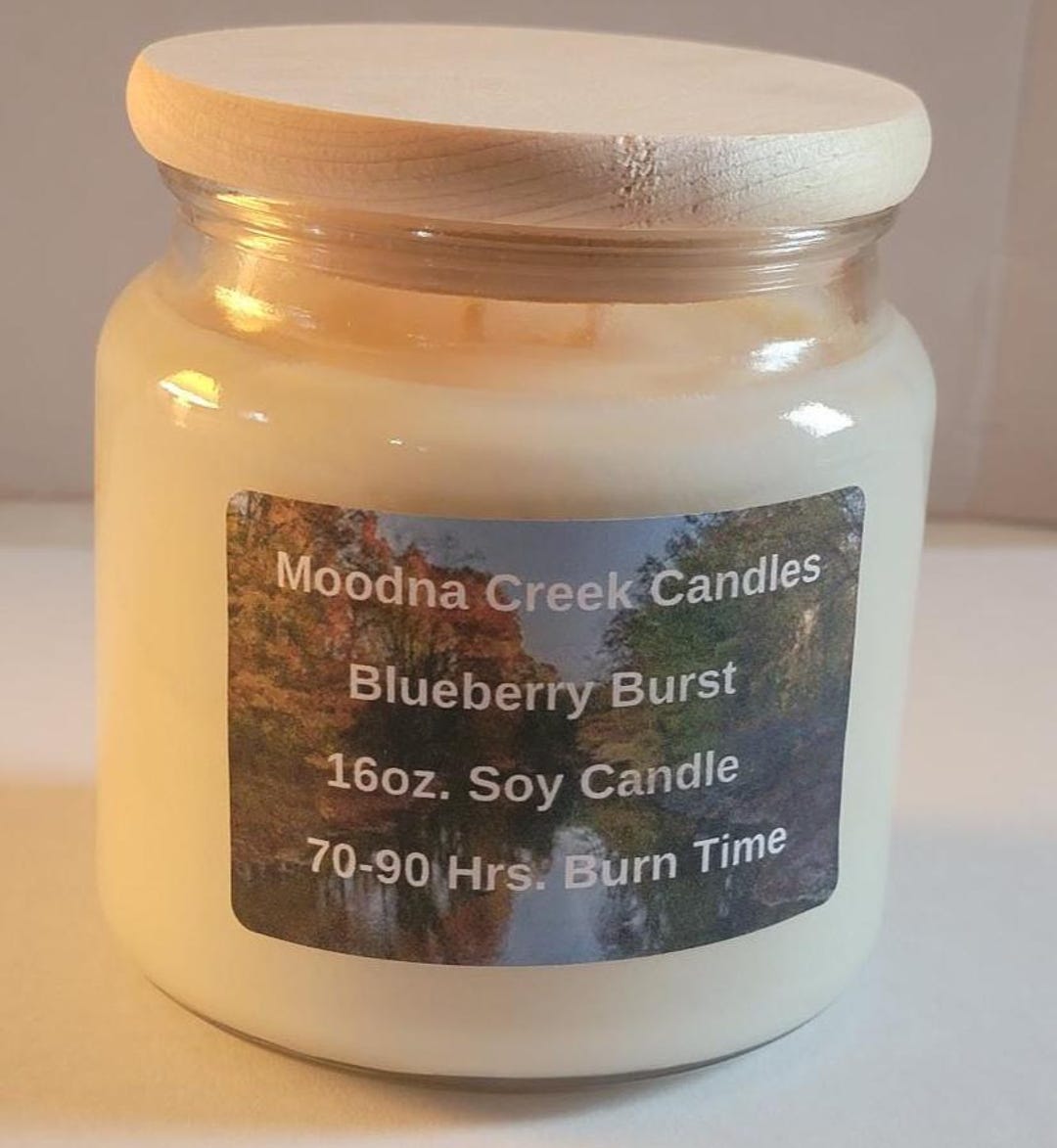 Blueberry Burst Candle – Sweet Fruity Soy Candle – Juicy Blueberry ...