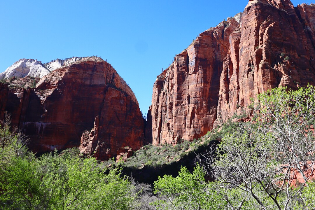Zion National Park - Etsy