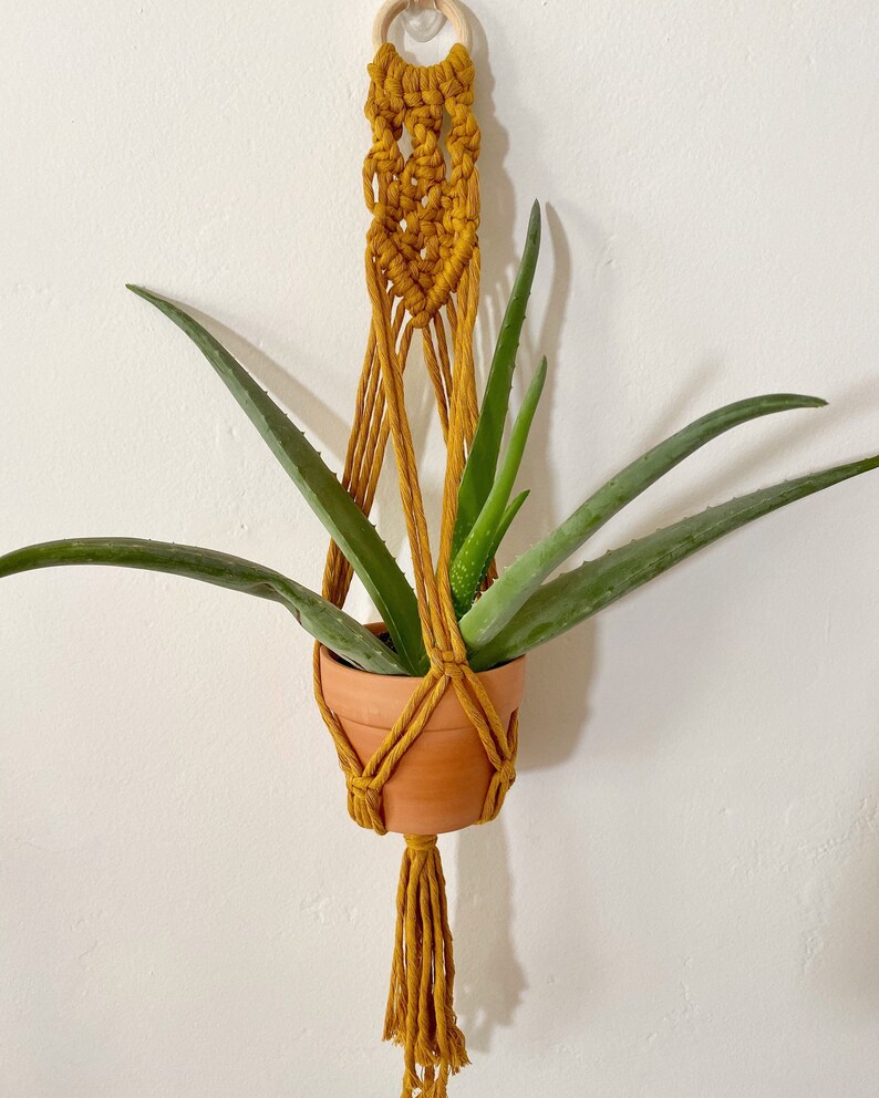 Macrame Wall Plant Hanging - Etsy