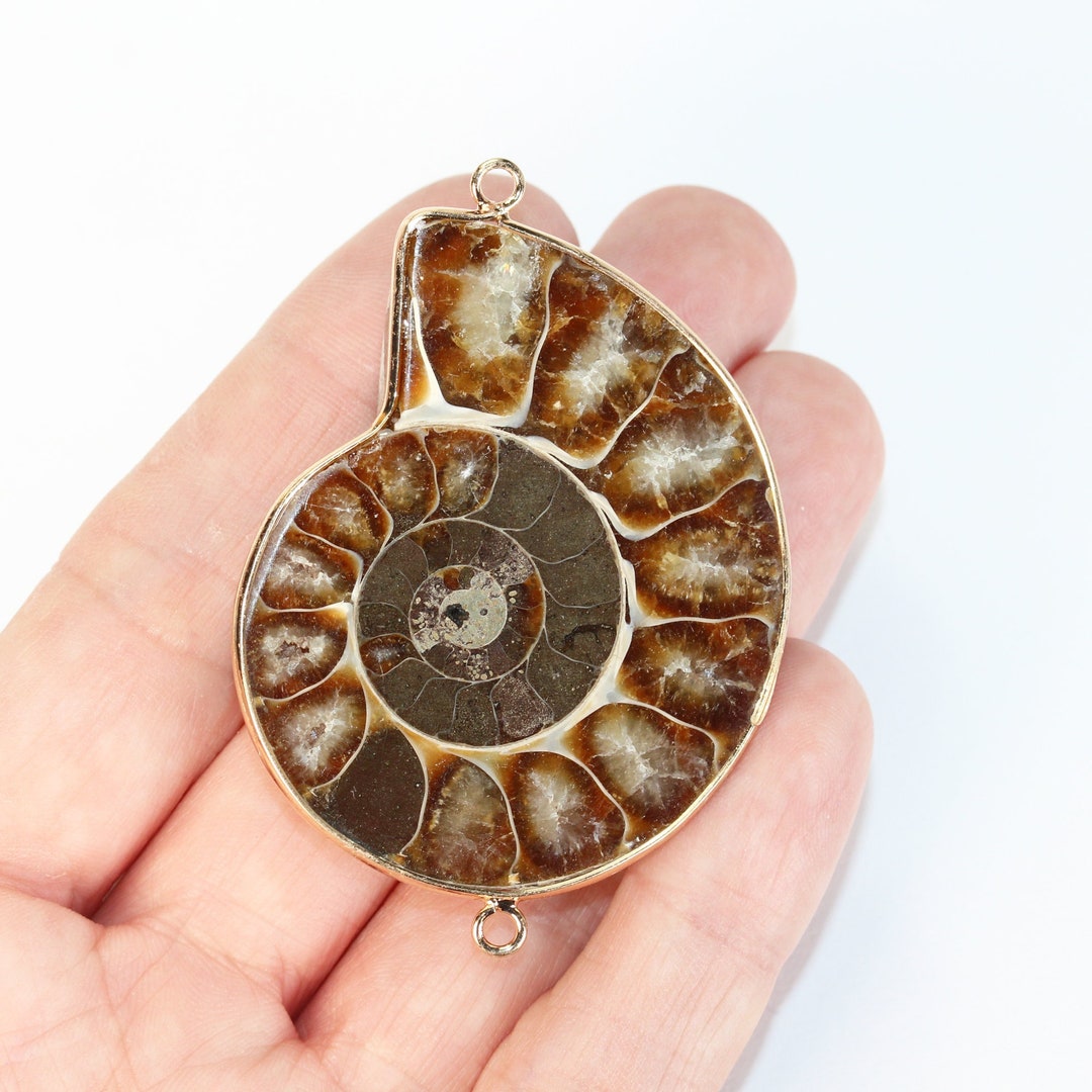 Ammonite Fossil Pendants, Gold Plated Edge, Genuine Gemstone, 40x50mm ...