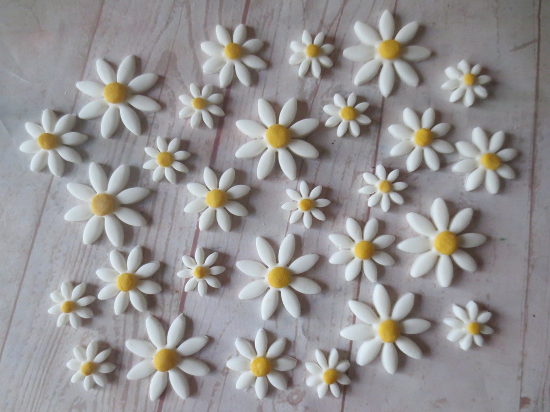 28 X Edible Fondant Daisy Flower Cake Cupcake Toppers Assorted Daisies ...