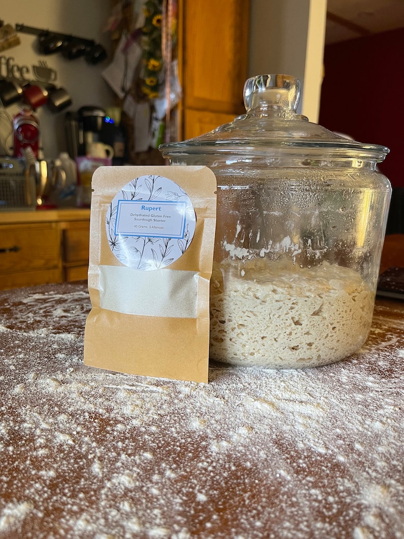 Gluten Free Sourdough Starter - Etsy