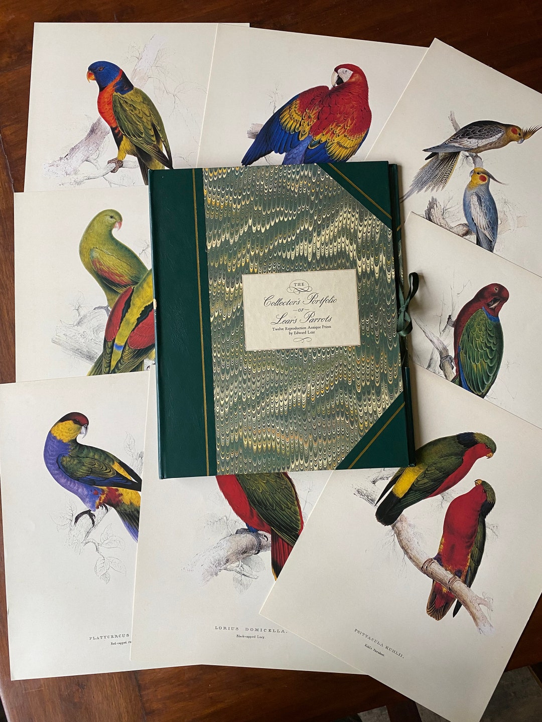 The Collectors Portfolio of Lears Parrots, 9 Parrot Prints - Etsy