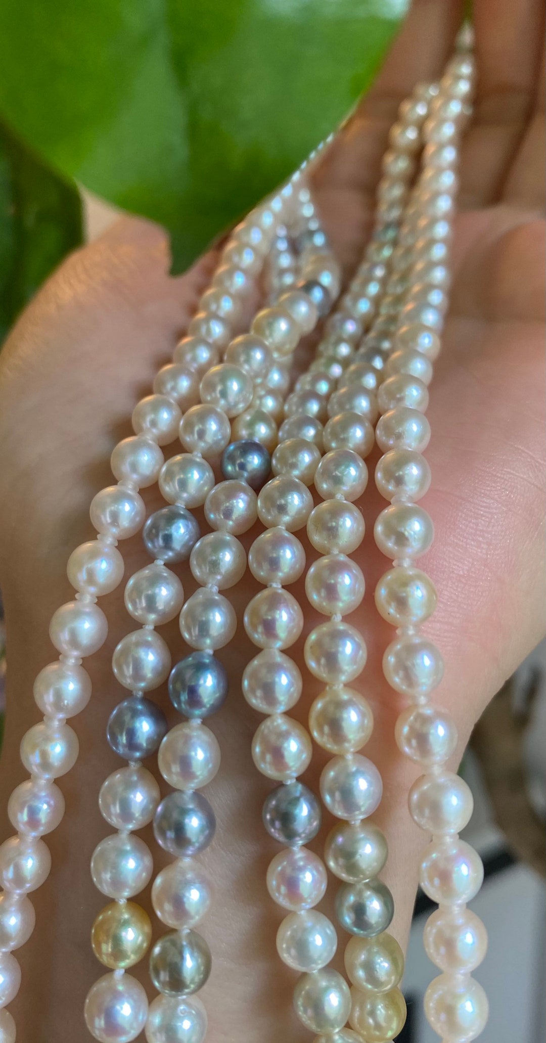 130cm Multi Color Akoya Pearl Beaded Strand Necklace,akoya Pearl Layer ...