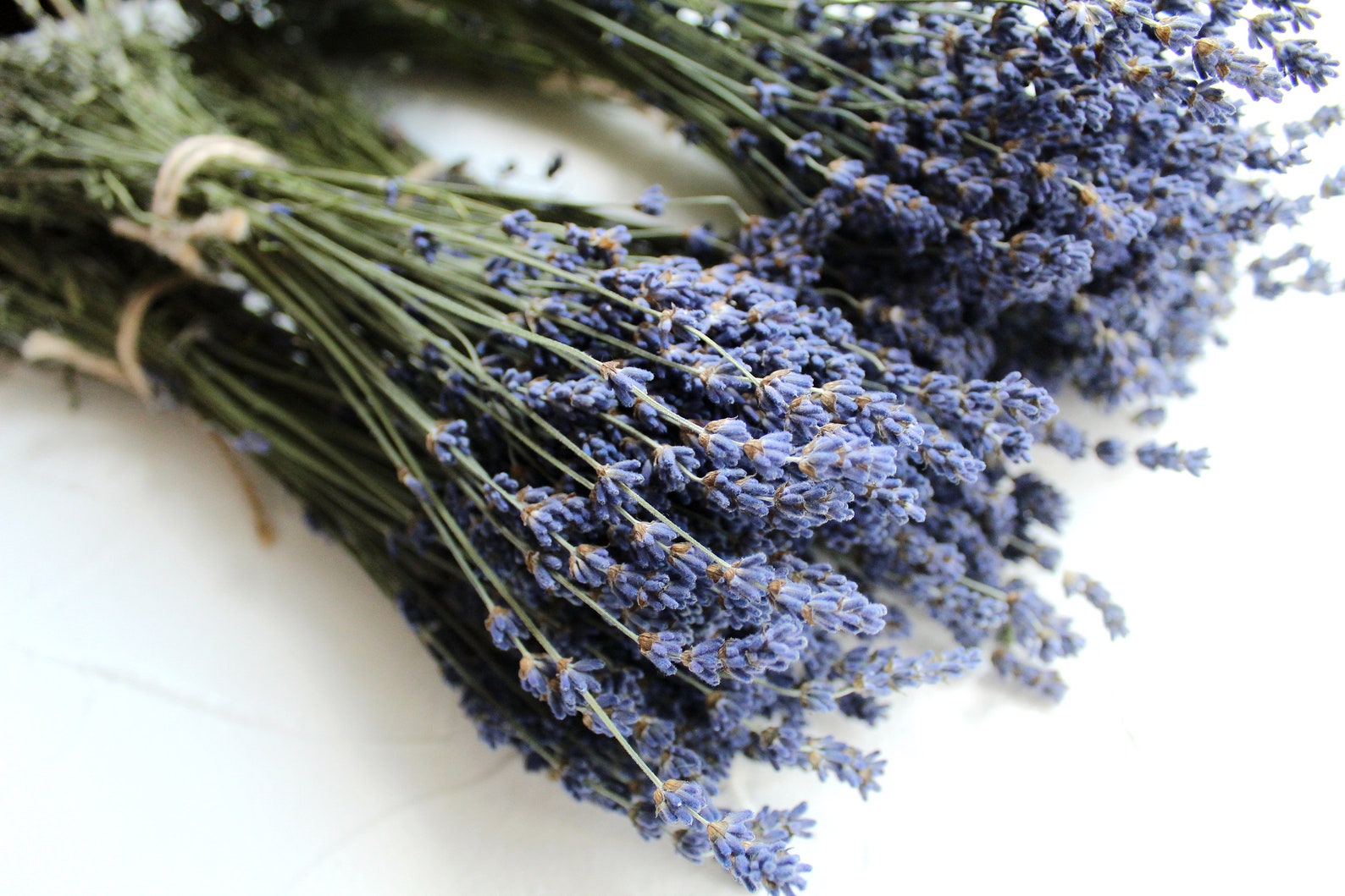 Dried Blue Lavender Bouquets 100-120 Stem Per Bouquet High | Etsy