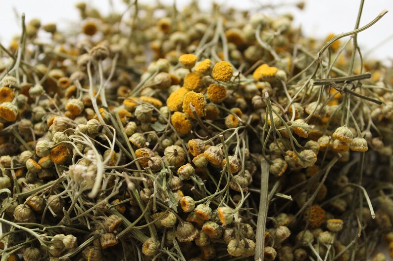 Dried Tansy Flowers Tanacetum Vulgare Natural Organic - Etsy
