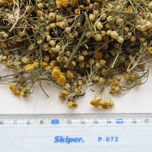 Dried Tansy Flowers Tanacetum Vulgare Natural Organic - Etsy
