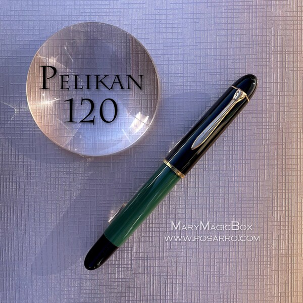 Pelikan Calligraphy Pen - Etsy