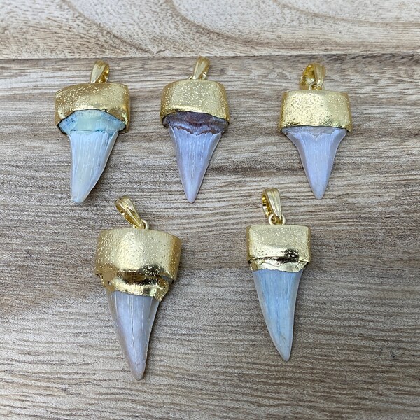 Shark Tooth Charm - Etsy