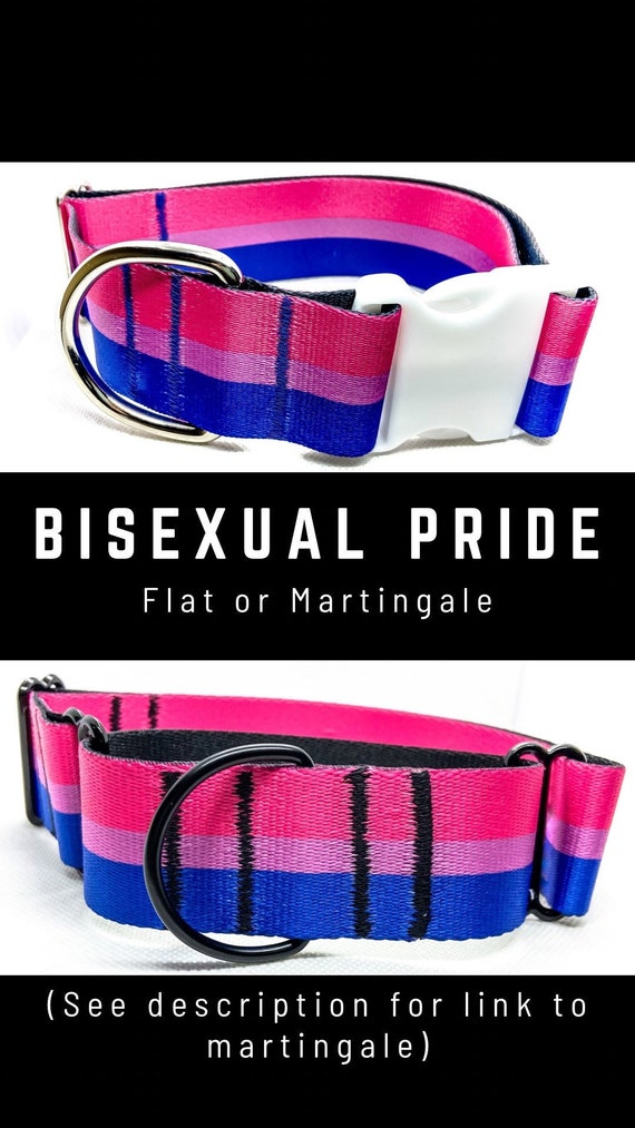 Bi Pride Dog Collar Bisexual Pride Collar LGBTQ Dog Collar | Etsy