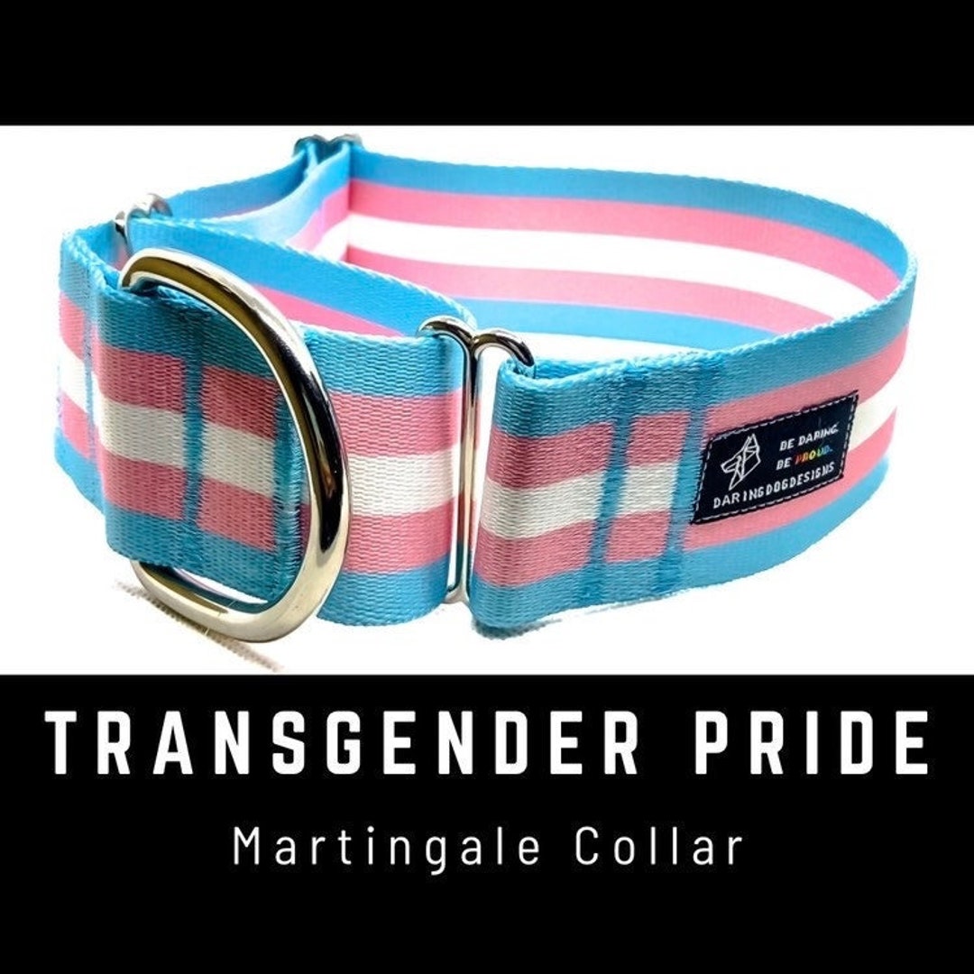 Trans Dog Collar, Pride Martingale Collar, Gay Dog Collar, Transgender ...