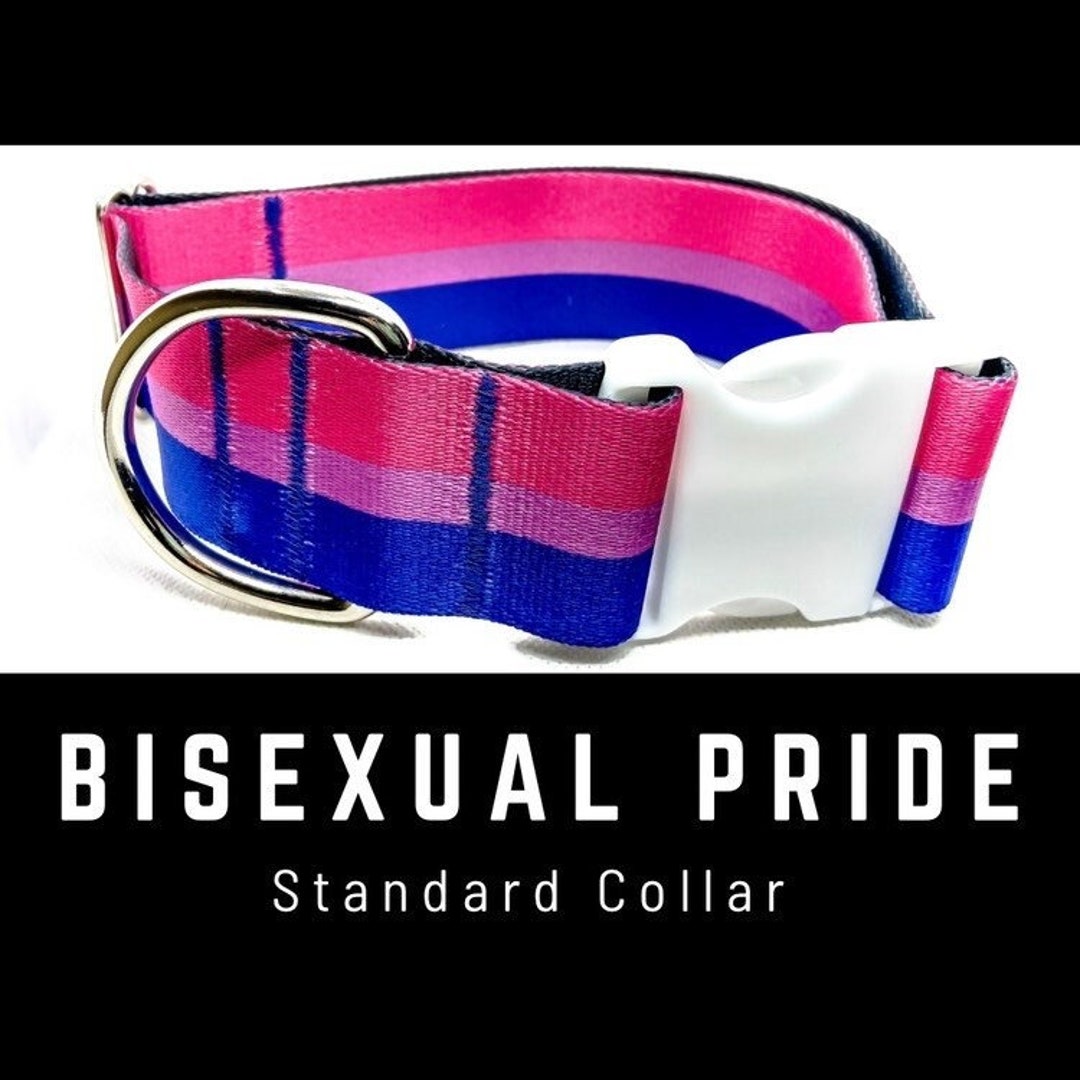 Bi Pride Dog Collar, Bisexual Pride Collar, LGBTQ Dog Collar, Pride ...