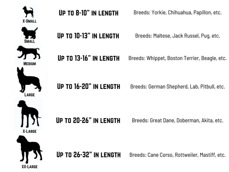 Trans Dog Collar Transgender Pride Collar LGBTQ Dog Collar - Etsy