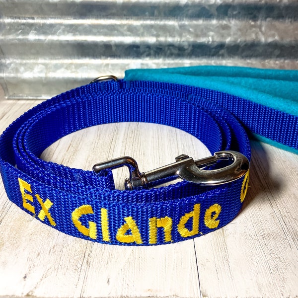 Traffic Leash - Etsy