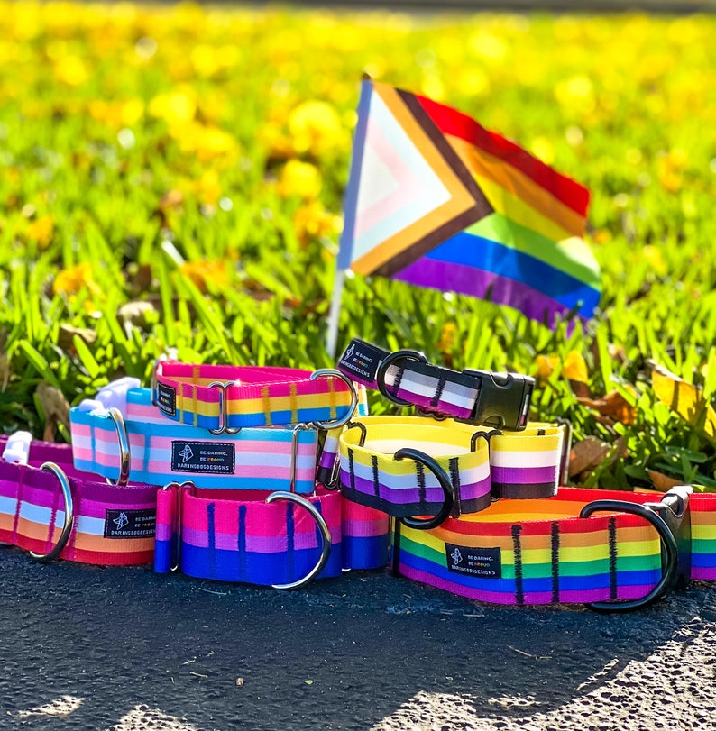 Trans Dog Collar Transgender Pride Collar LGBTQ Dog Collar - Etsy