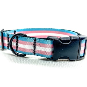 Trans Dog Collar, Transgender Pride Collar, LGBTQ Dog Collar, Pride ...