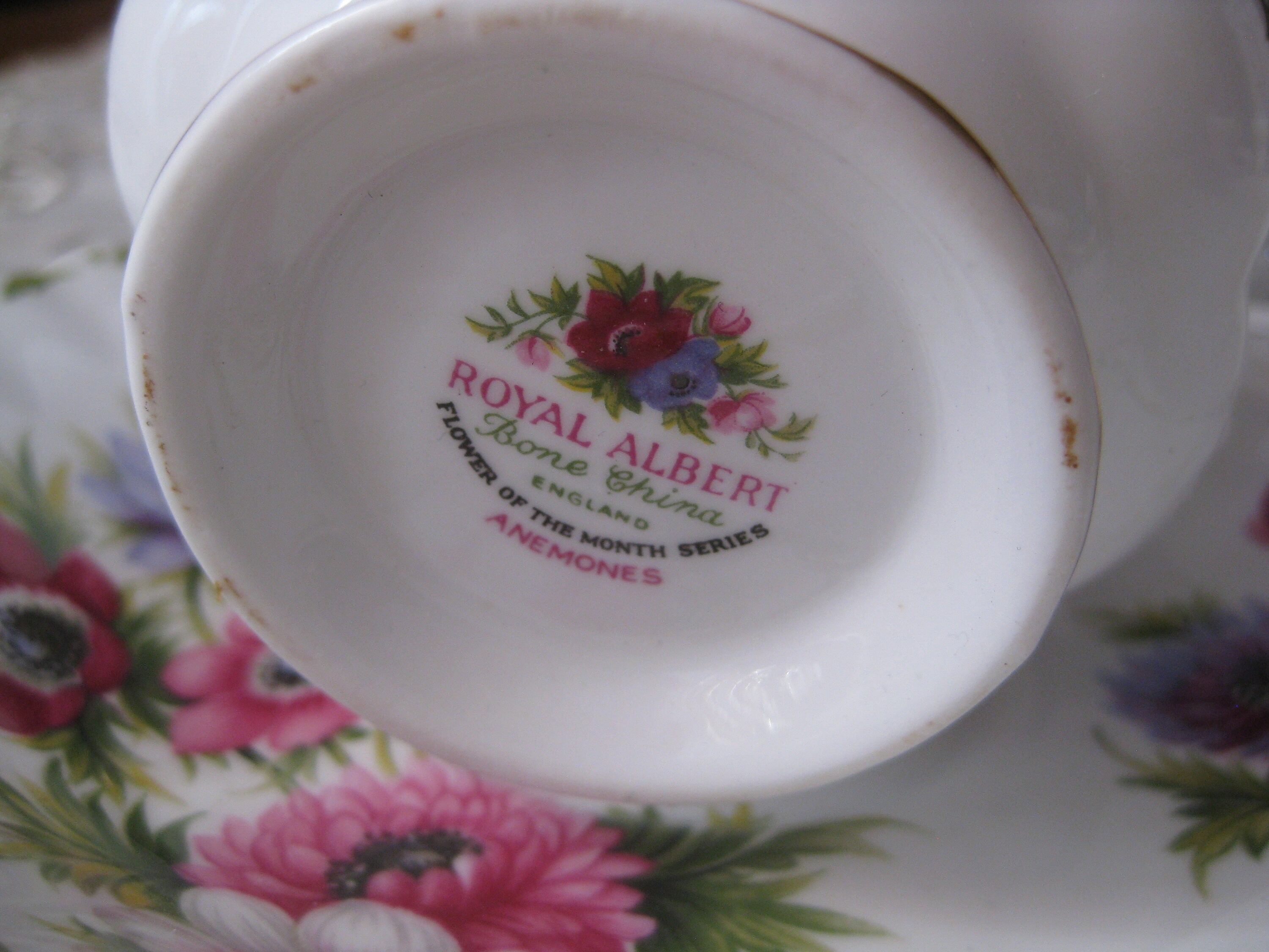 Royal Albert Flower of the Month March Teacup With Saucer - Etsy