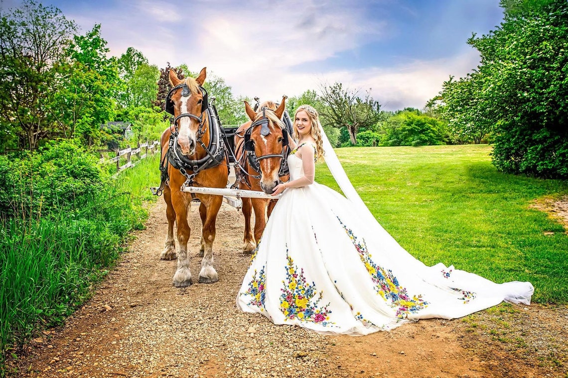 Cinderella Wedding Dress Cinderella Live Action Wedding - Etsy Canada