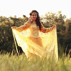 Padme Pinic Inspired, Padme Adult Picnic Dress, Padme Dress, Star War ...