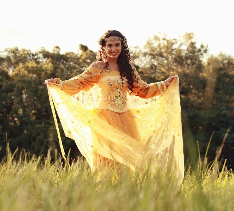 Padme Pinic Inspired, Padme Adult Picnic Dress, Padme Dress, Star War ...