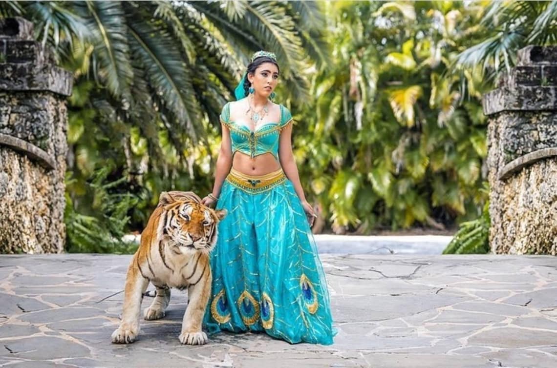 Jasmine Live Action 2019 Inspired - Jasmine Costume - Jasmine Adult ...