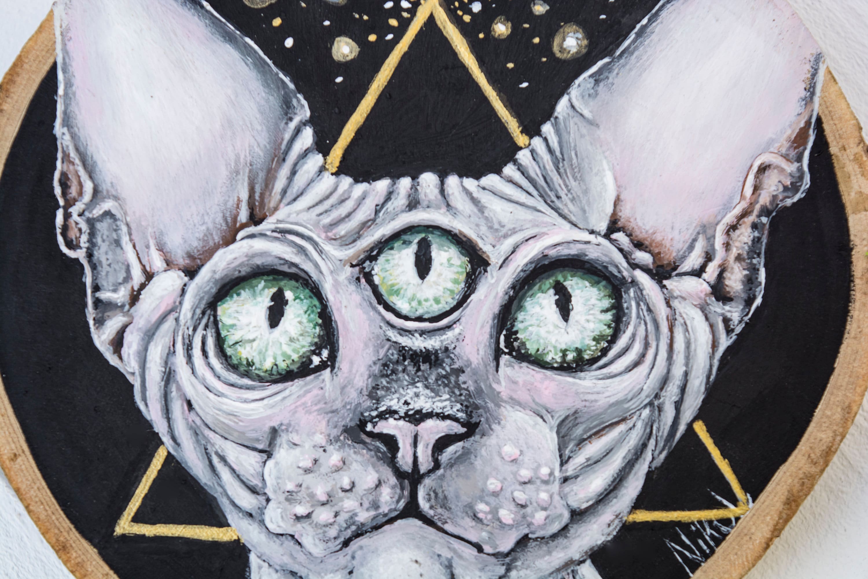Sphynx Third Eye Cat Painting on Wood Slice, Cats Spirit Animal ...