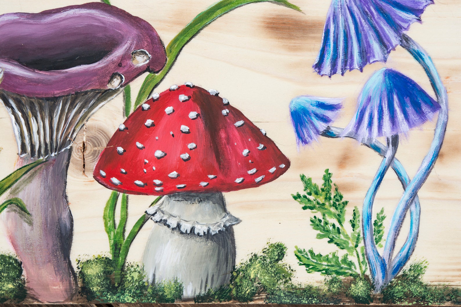 Mushroom Decoration Hand Painted Rustic Farmhouse Kitchen - Etsy
