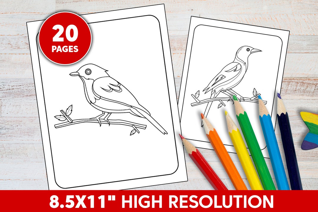Printable Color Page With Birds Coloring Pages for Kids, 20 Sheets ...