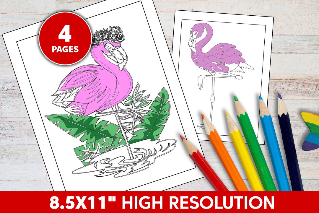Coloring Flamingo Book for Kids, Digital Printable Instant Download ...