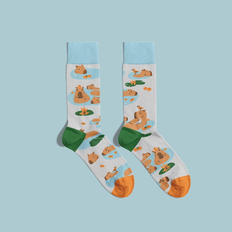 Capybara Socks - Etsy UK