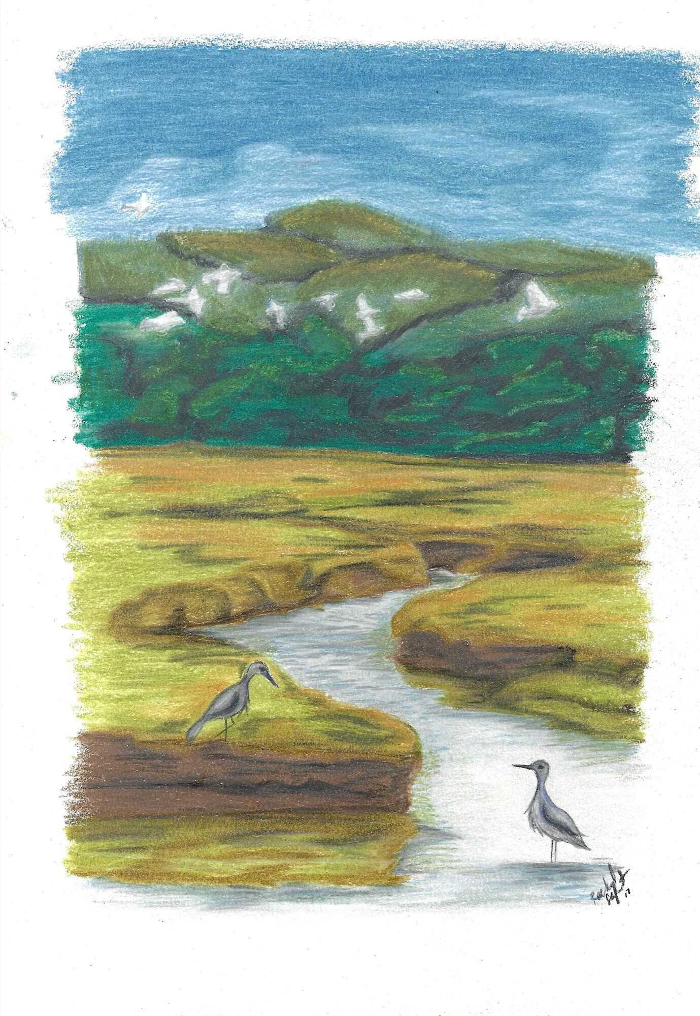 River Colored Pencil Drawing