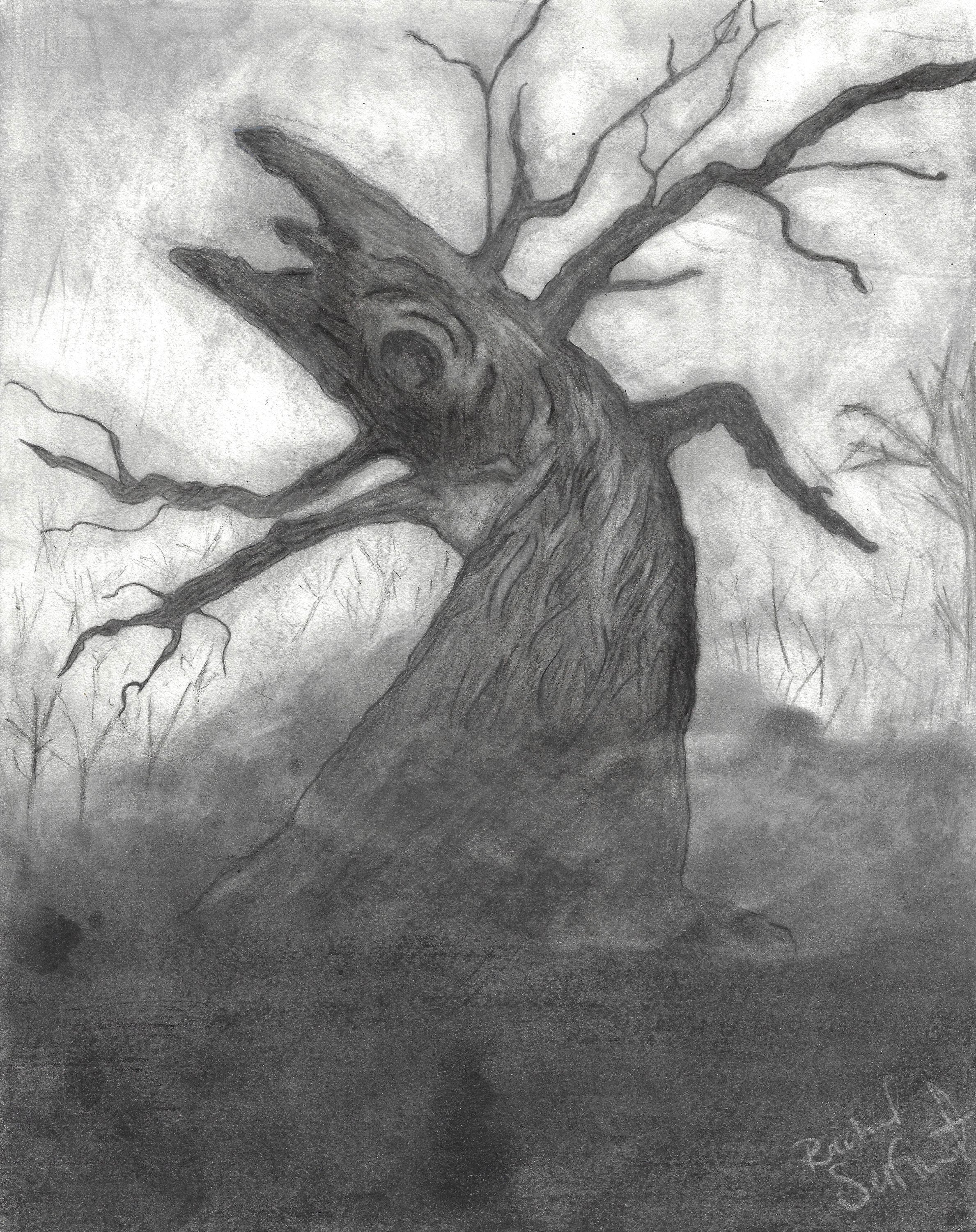 Sleepy Hollow Tree Drawing