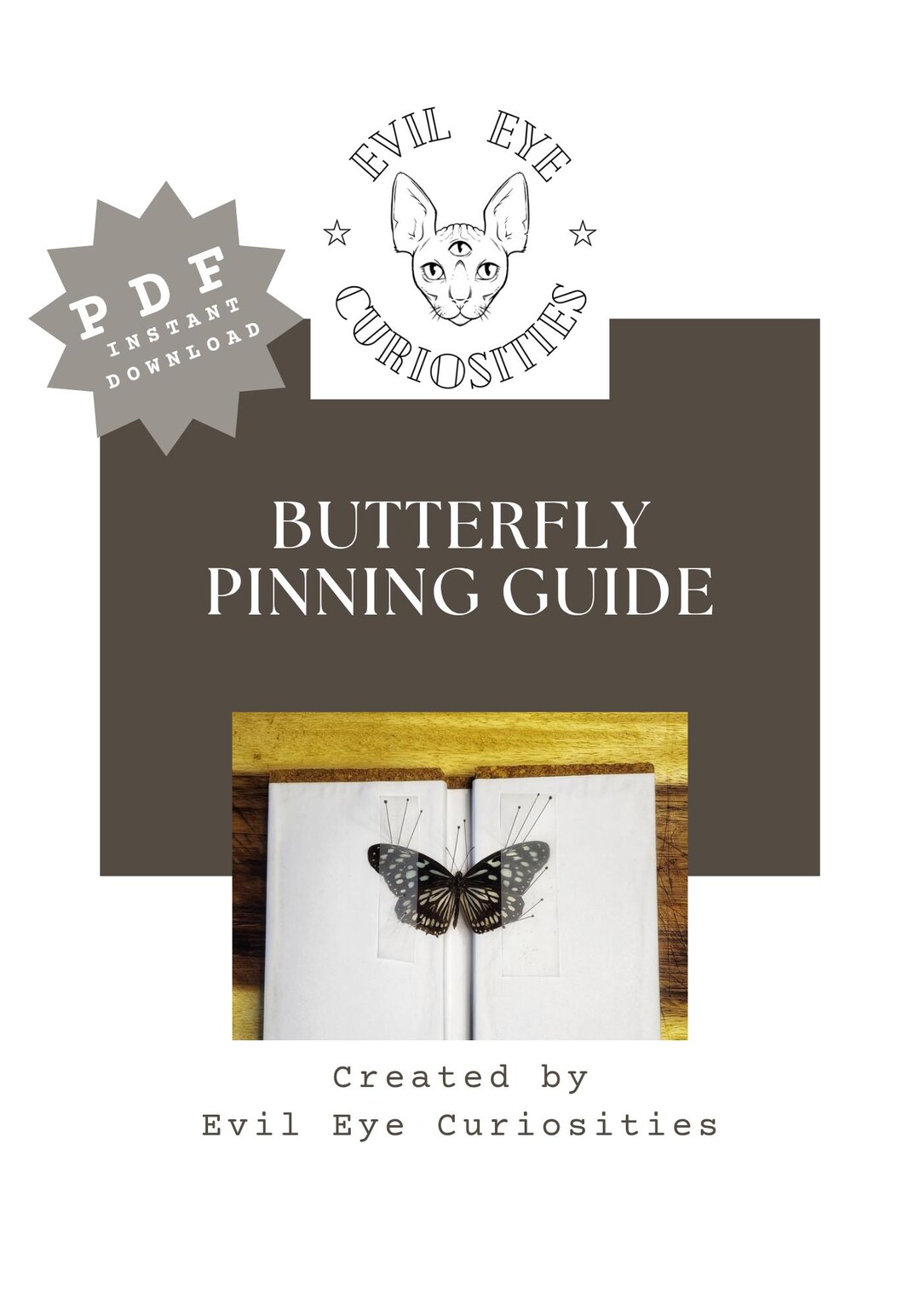 PDF Butterfly Pinning Guide Instant Download | Step-by-step Guidebook ...