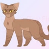 Cat / Warrior Cats / OC Reference Sheet Base Pack - Includes 8 Digital ...