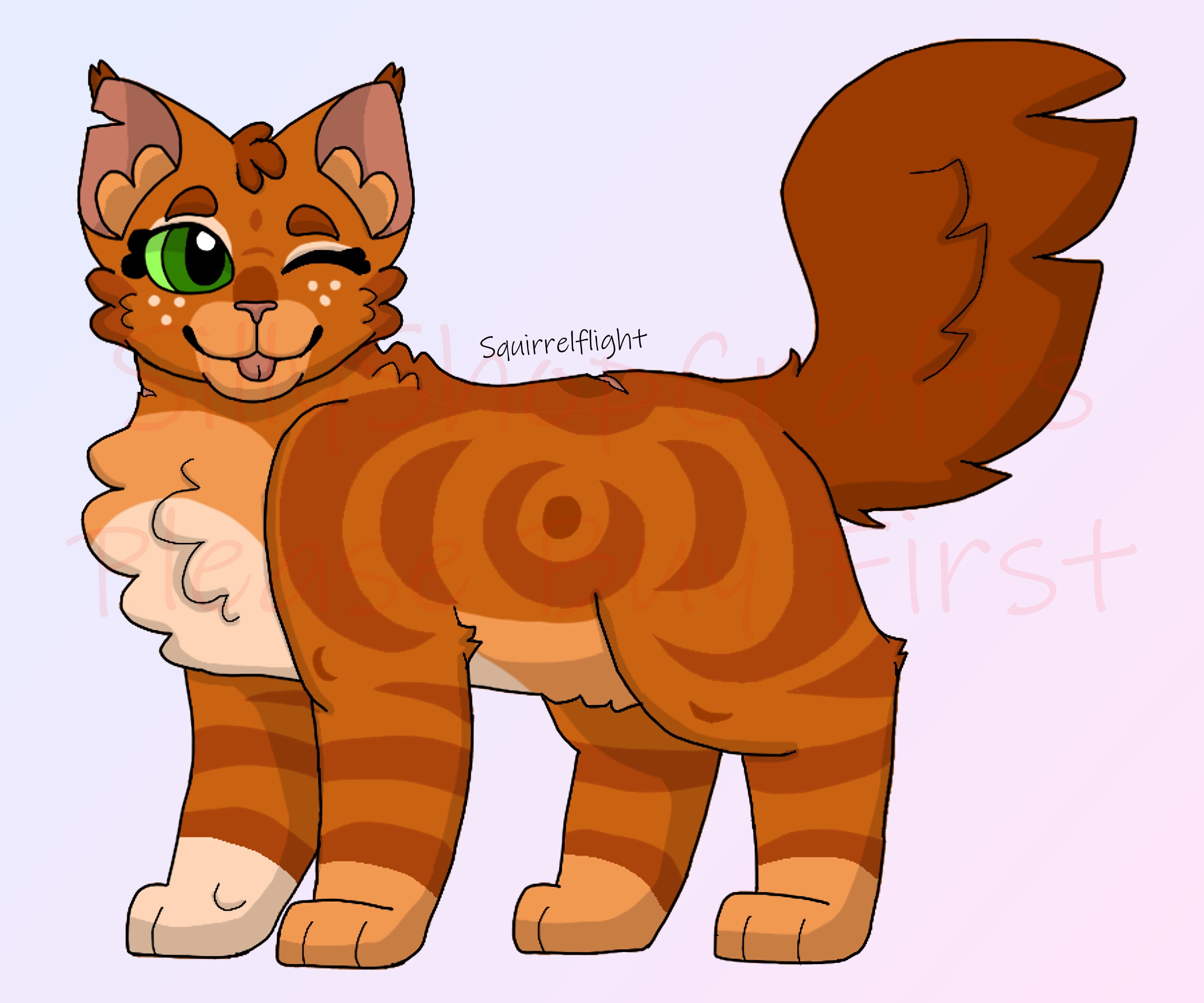 Warrior Cats Squirrelflight Kits