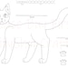 Cat / Warrior Cats / OC Reference Sheet Base Pack - Includes 8 Digital ...