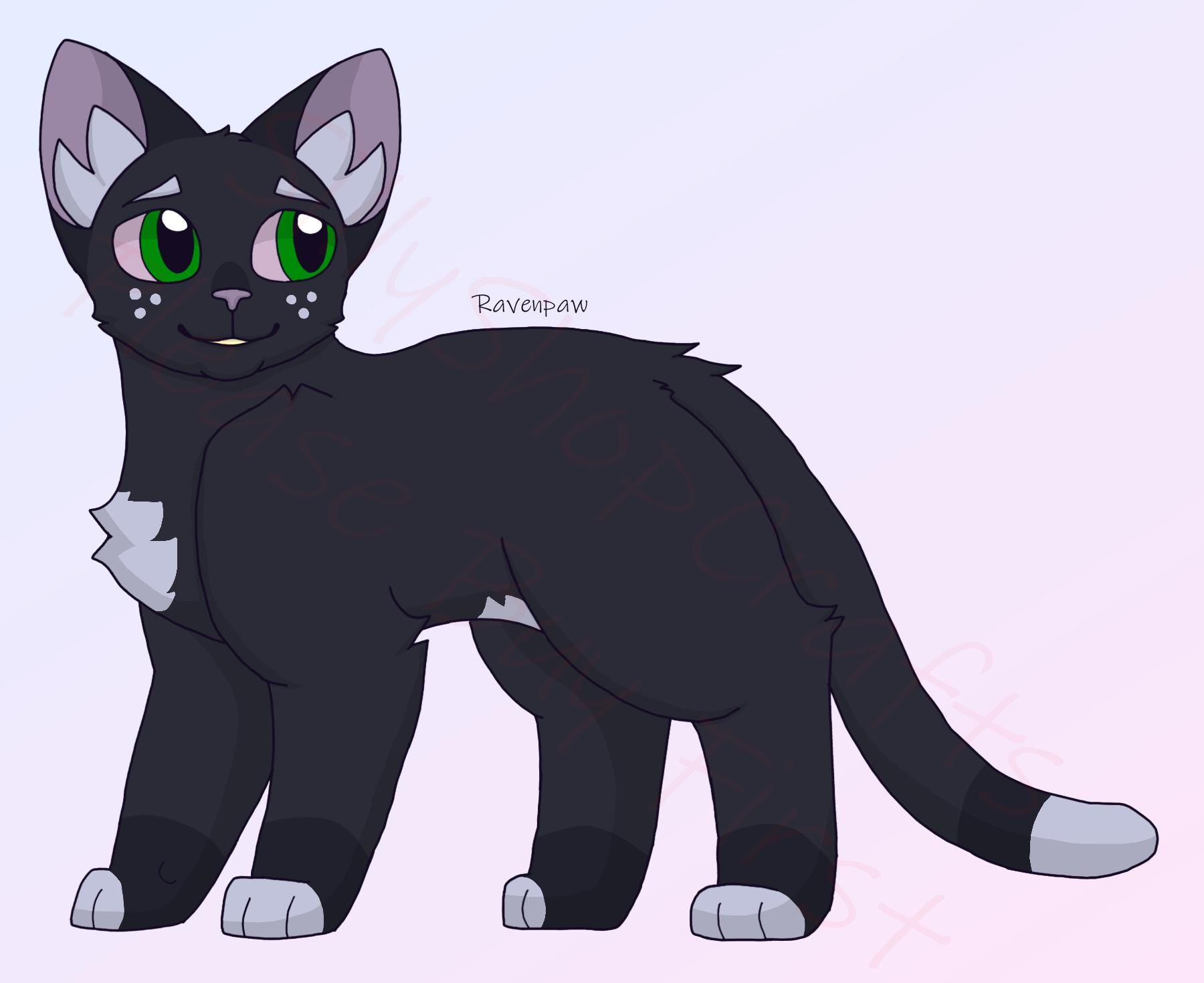 Raven Warrior Cats