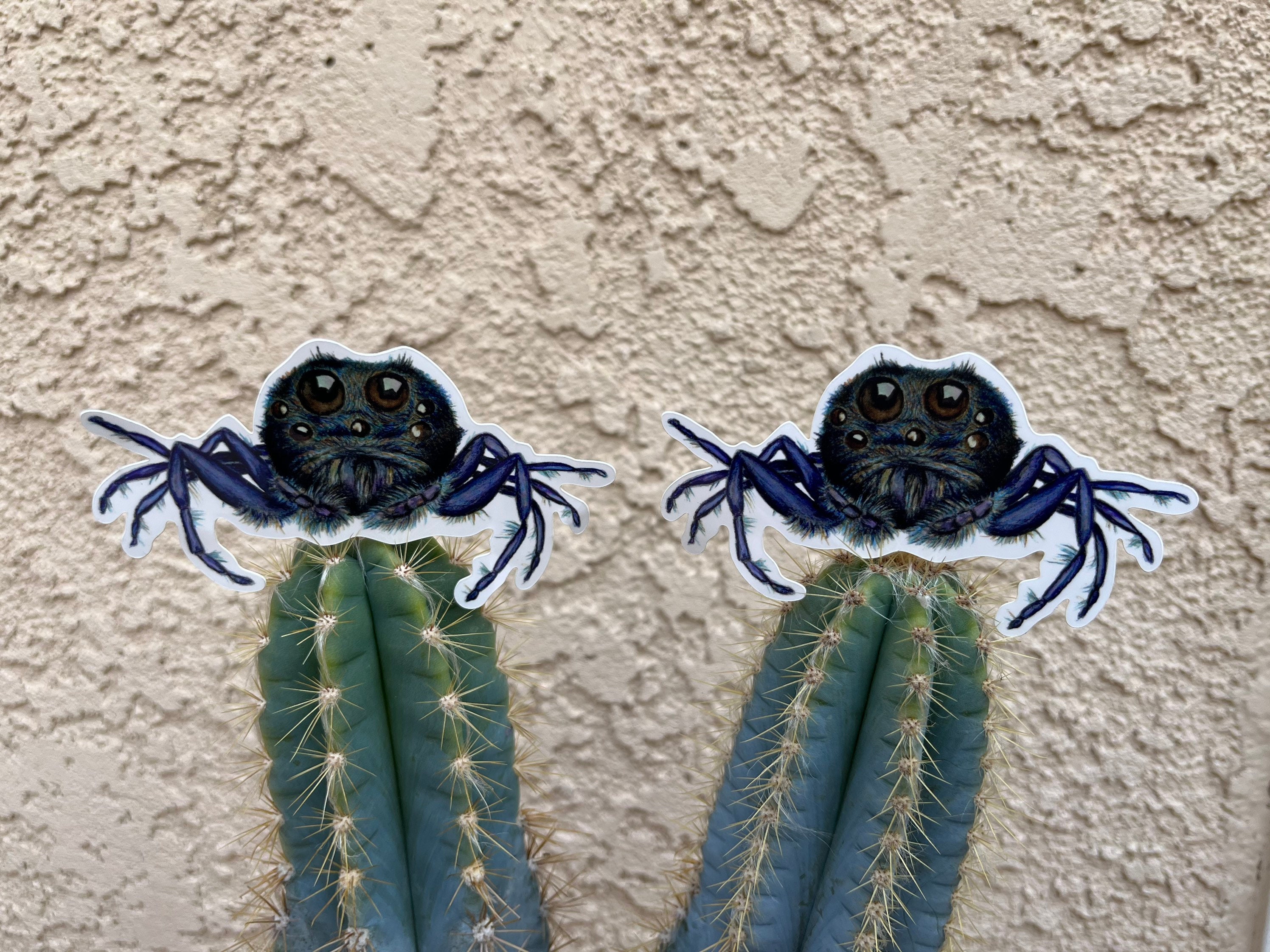 The Jumper Spider Sticker Laptop Stickers, Waterproof Durable Decal ...