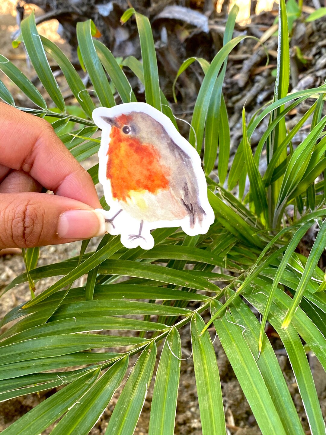The Red Robin Bird Sticker Laptop Stickers, Waterproof Durable Decal ...