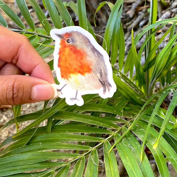 Red Robin Bird - Etsy