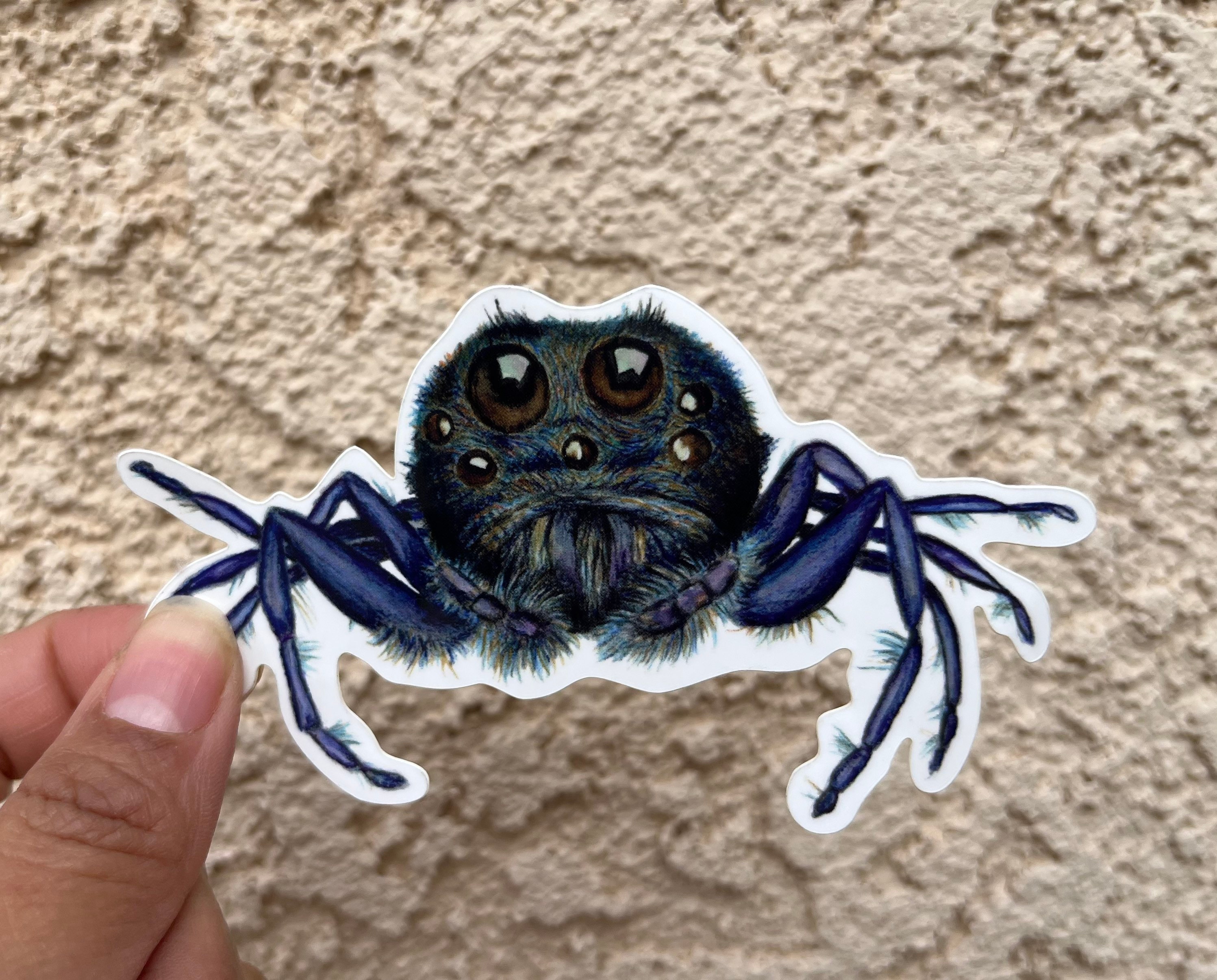 The Jumper Spider Sticker Laptop Stickers, Waterproof Durable Decal ...