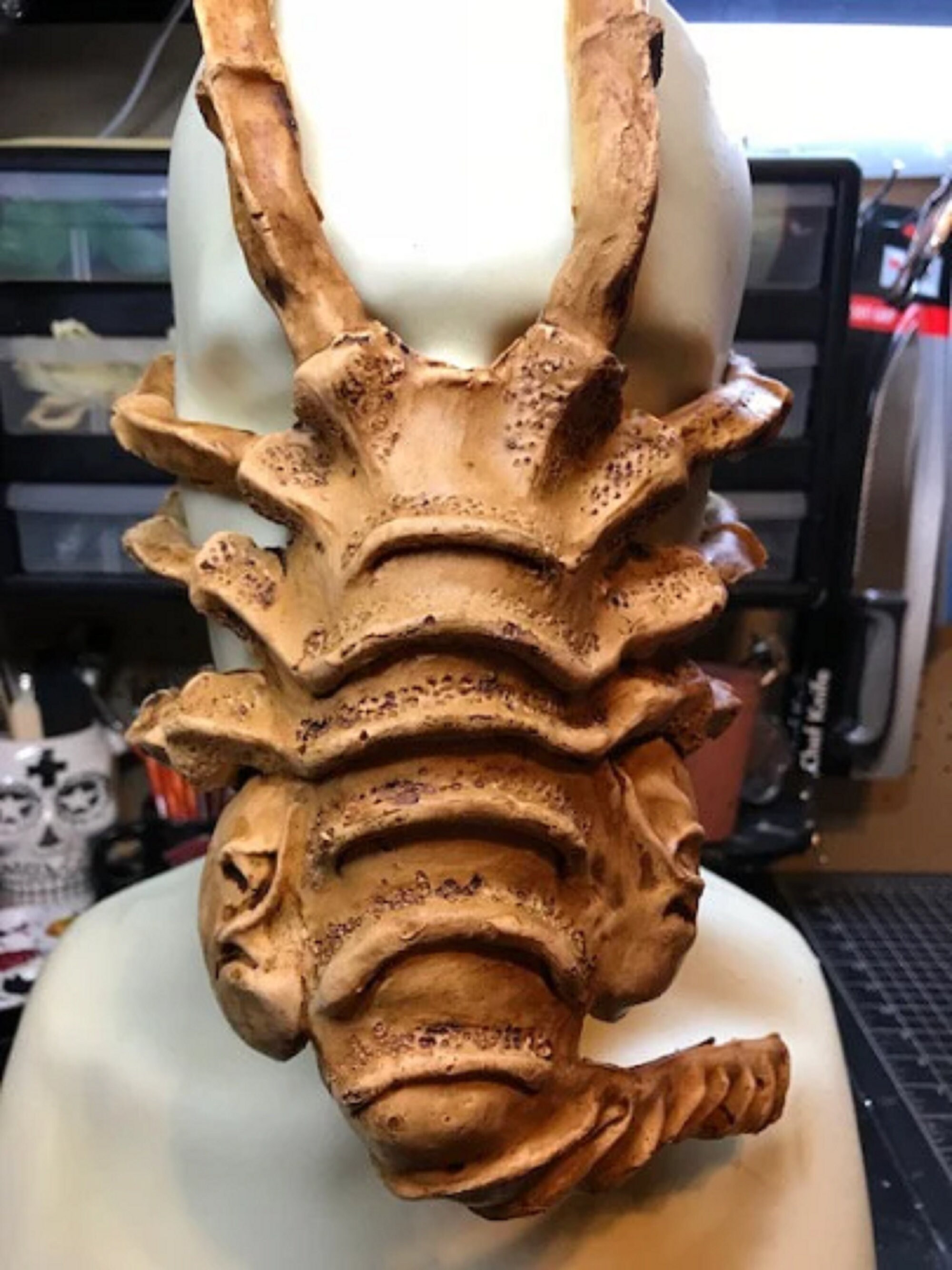 Face Hugger Mask Xenomorph Alien Halloween Mask - Etsy