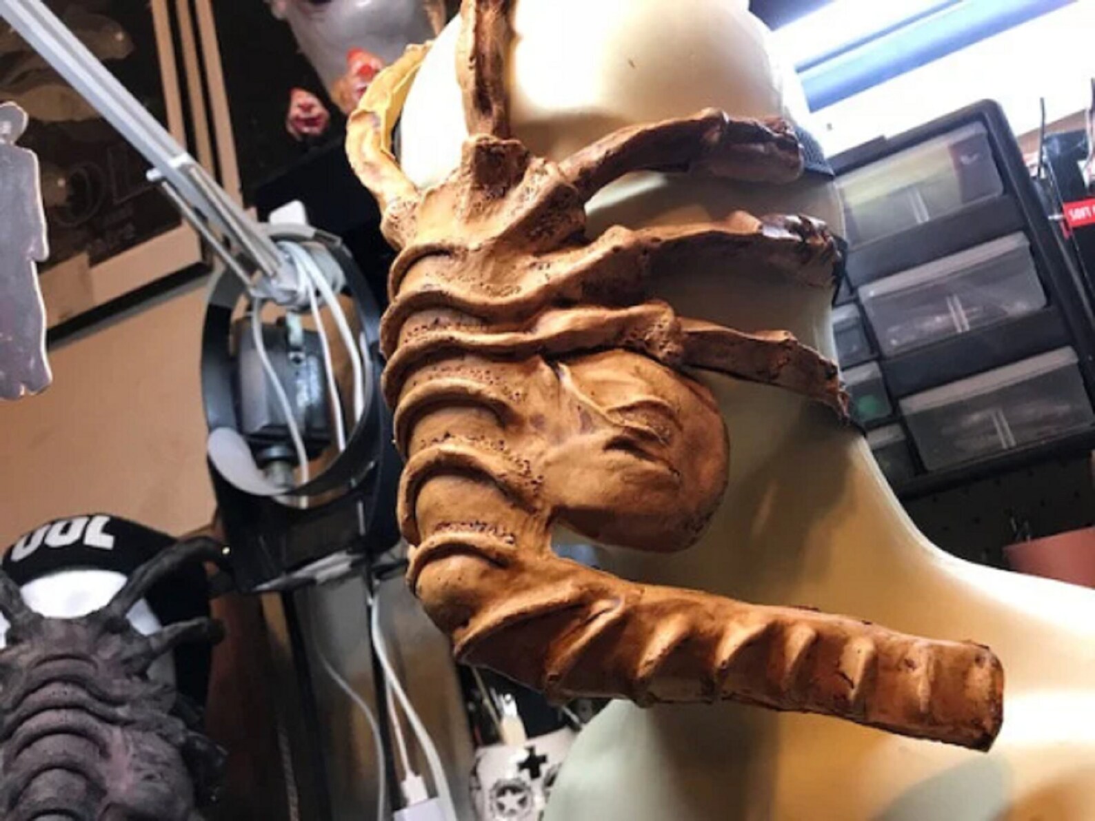 Face Hugger Mask Xenomorph Alien Halloween Mask - Etsy